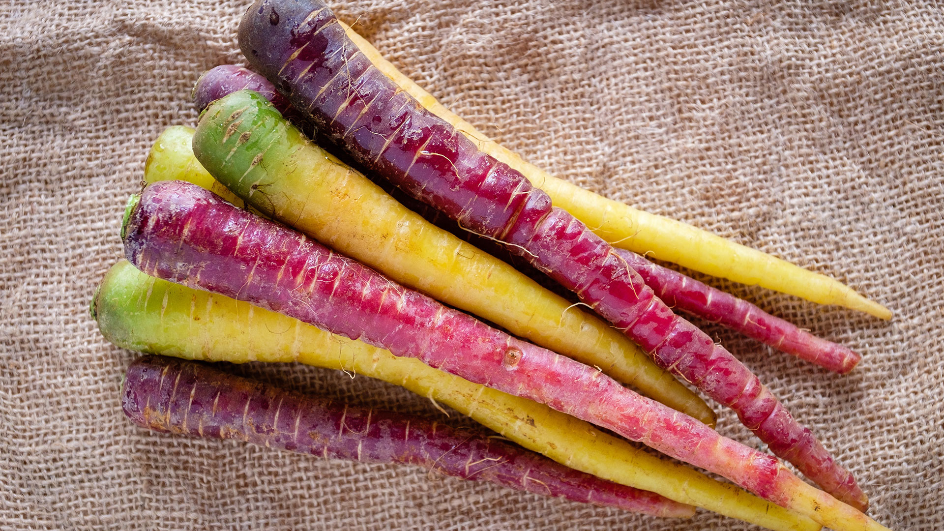 Frutta e verdura online con Agrofattorino. Prossima fermata: casa tua!